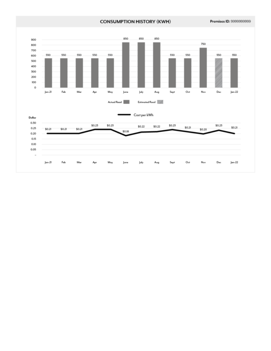 Your New Bill Design - LUMA