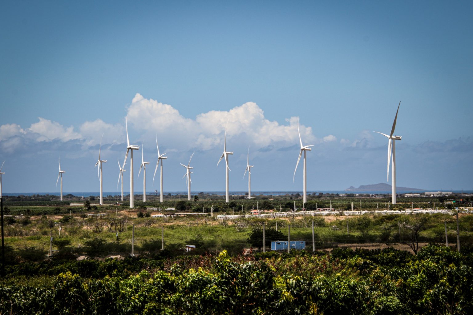 Renewable Energy - LUMA